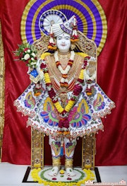 Daily Darshan | Shree Swaminarayan Mandir Bhuj