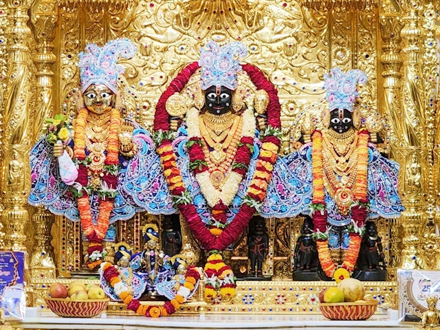 Daily Darshan | Shree Swaminarayan Mandir Bhuj